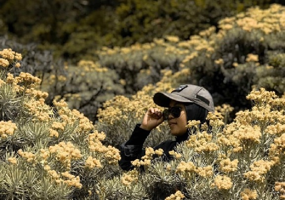 Menikmati Kebun Edelweiss Nan Indah di Gunung Gede Pangrango - GenPI.co